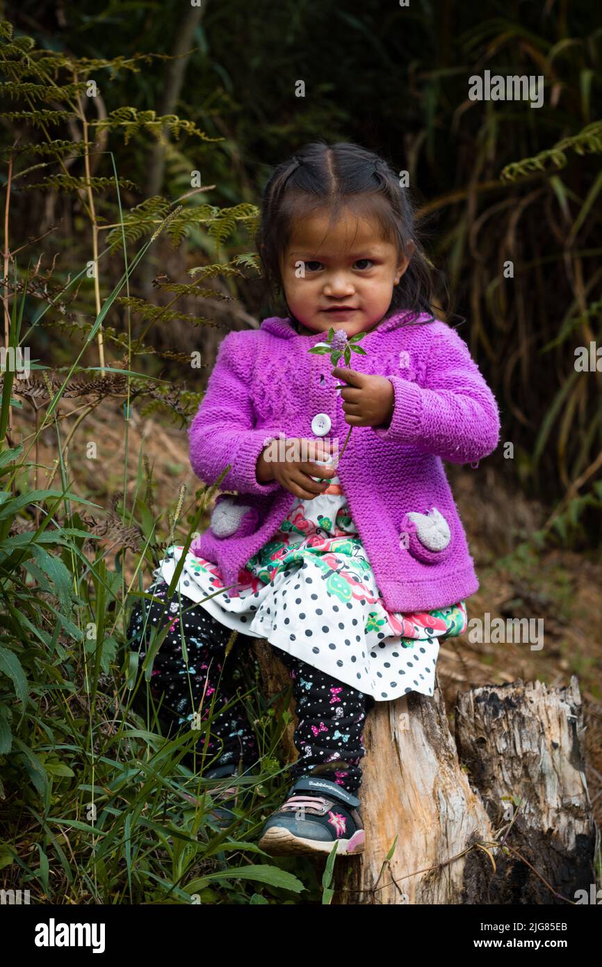 An adorable baby girl holding flower Stock Photo - Alamy
