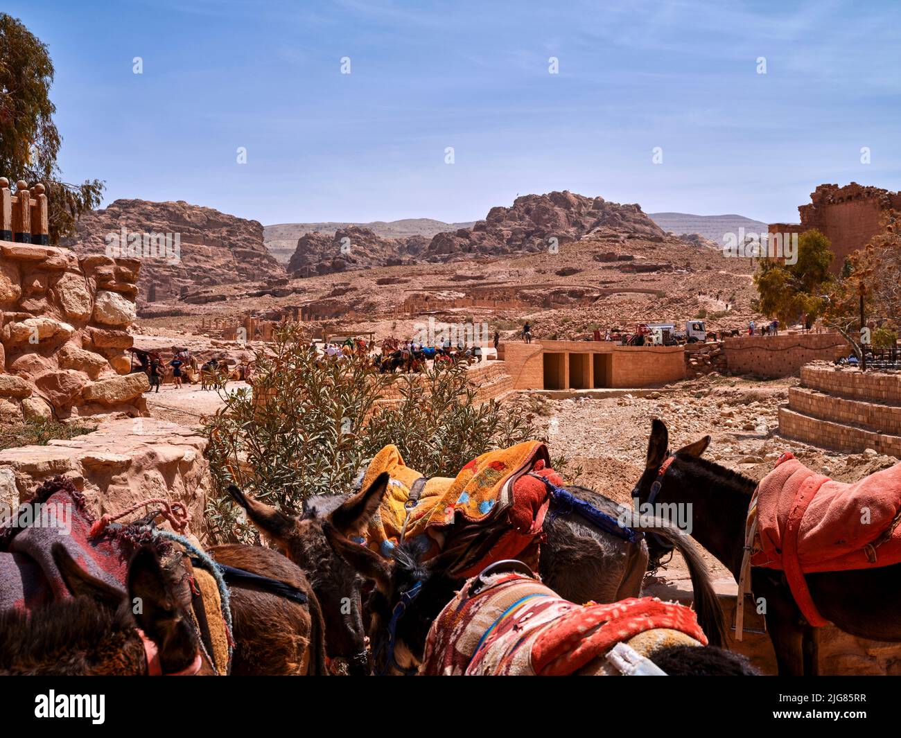 Petra, city of the Nabataeans, Jordan Stock Photo - Alamy