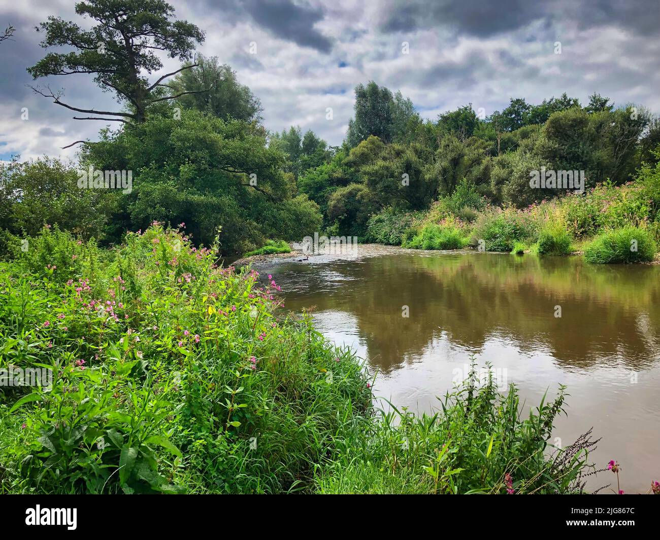 The River Ottter in Devon Stock Photo - Alamy