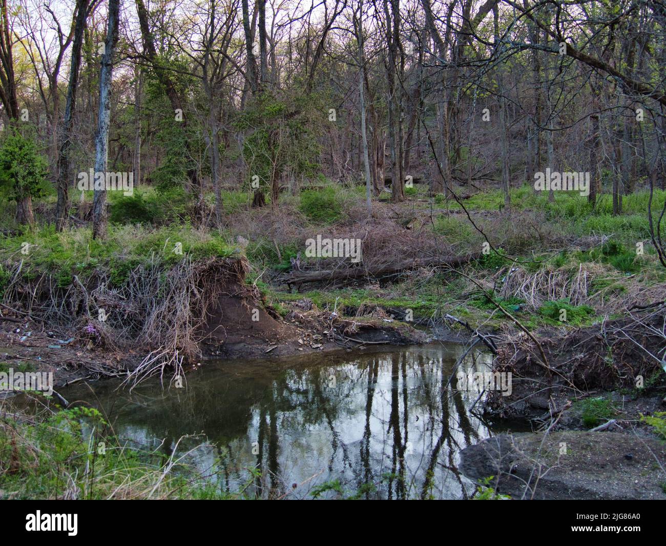 A narrow flowing water in between woods during daytime Stock Photo - Alamy