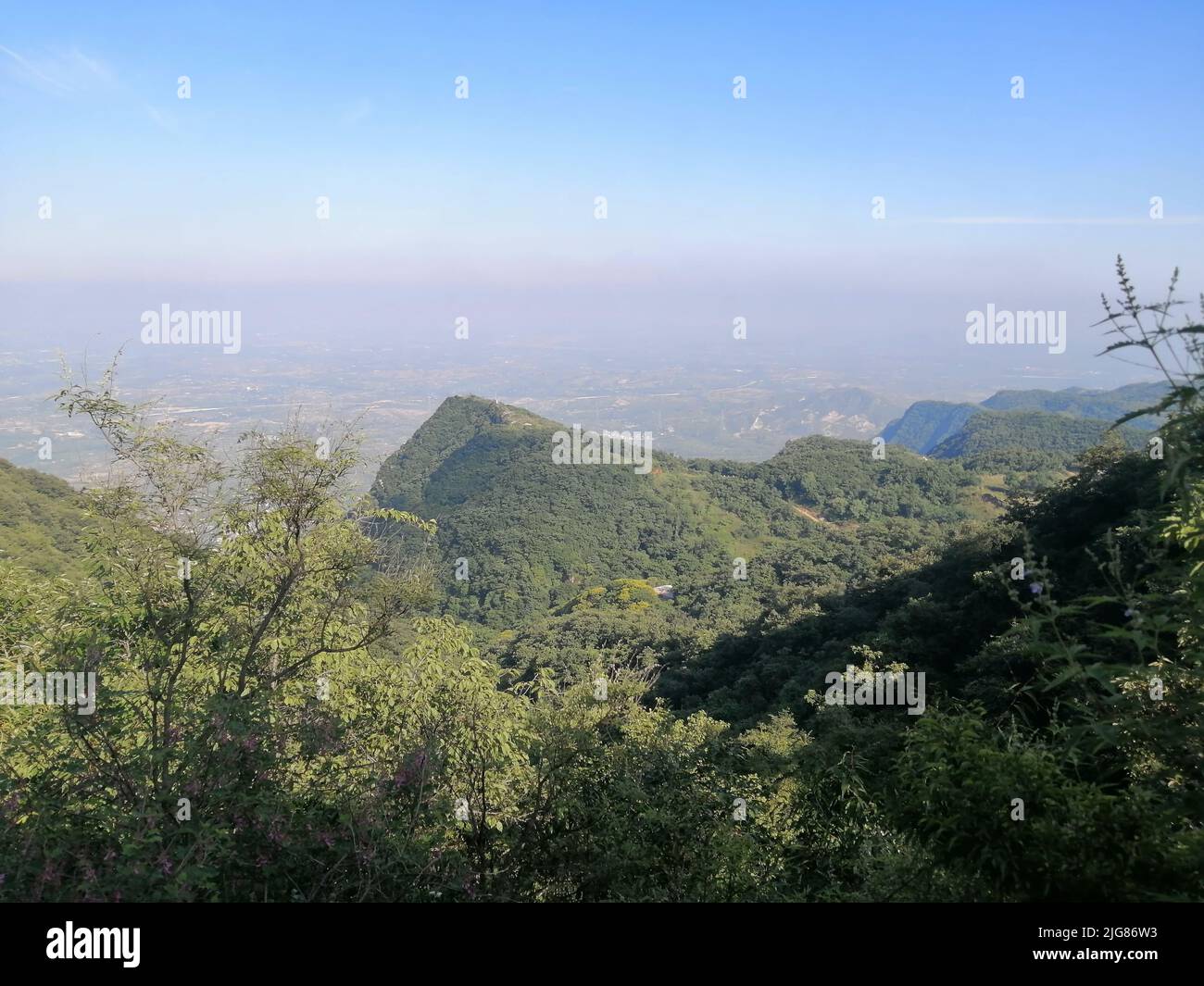 An aerial view of greenery mountains surrounded by dense trees Stock ...