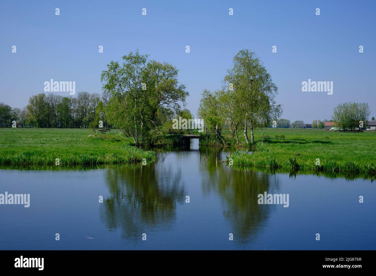 Polder with grass, water and small bridges in the polder, The ...