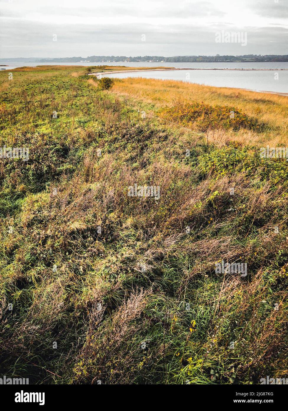 salt marsh, Holnis, Glücksburg, Schleswig-Holstein, landscape, autumn ...