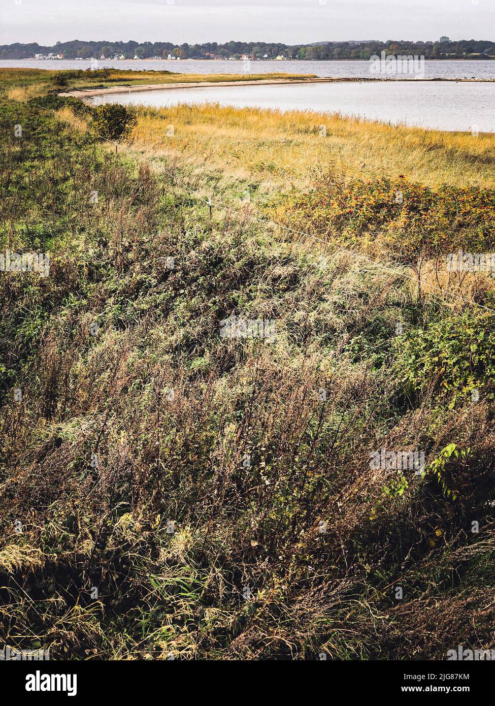 salt marsh, Holnis, Glücksburg, Schleswig-Holstein, landscape, autumn ...