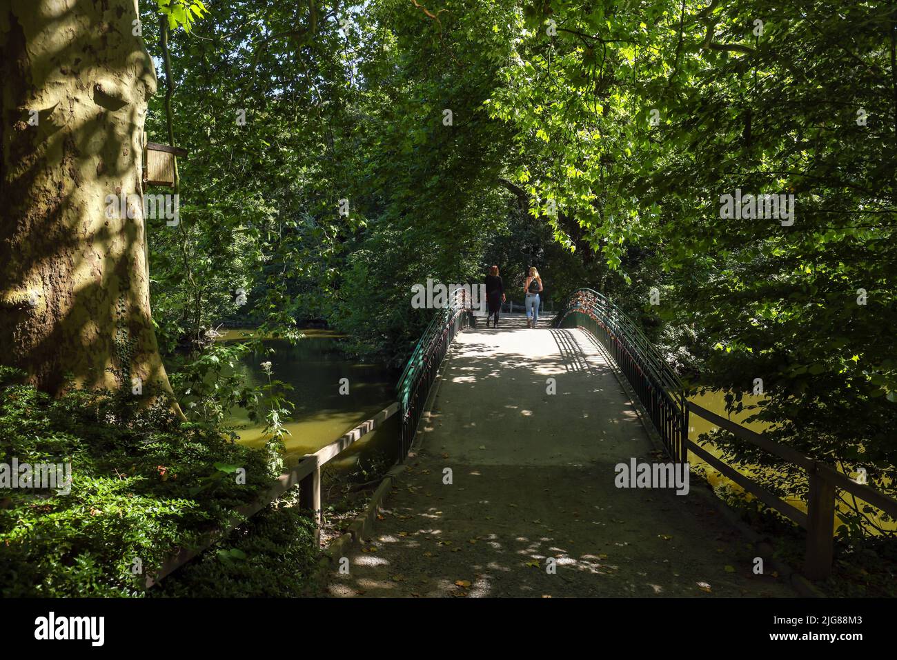 Rombergpark botanical garden hi-res stock photography and images - Alamy