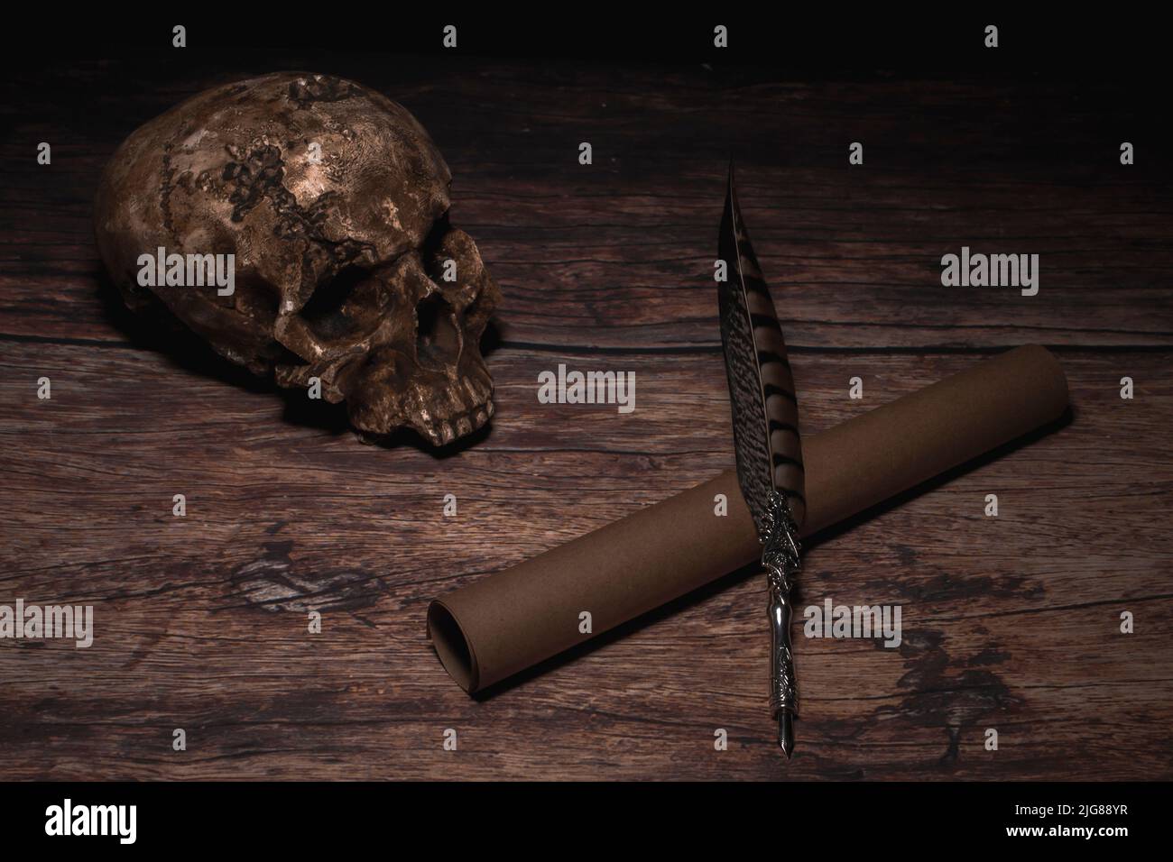An old quill pen with old paper scroll and human skull on the dark ...