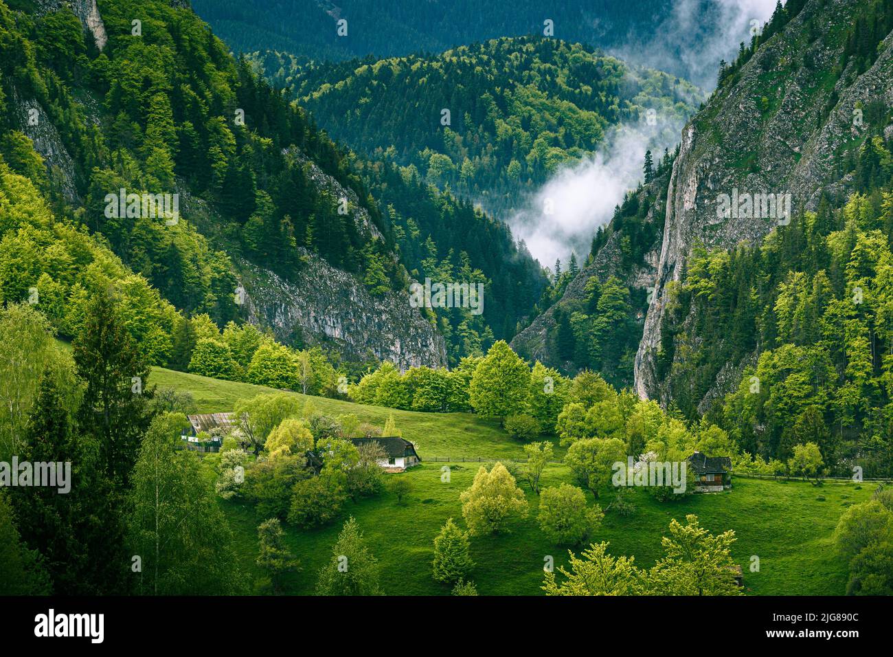 A breathtaking scenery of a green meadow with houses at the foot of the ...