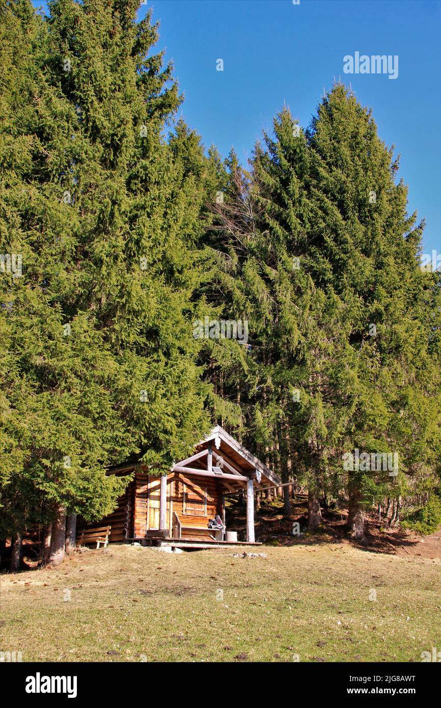Spring moves into the country on the way from the Eckbauer to the ...