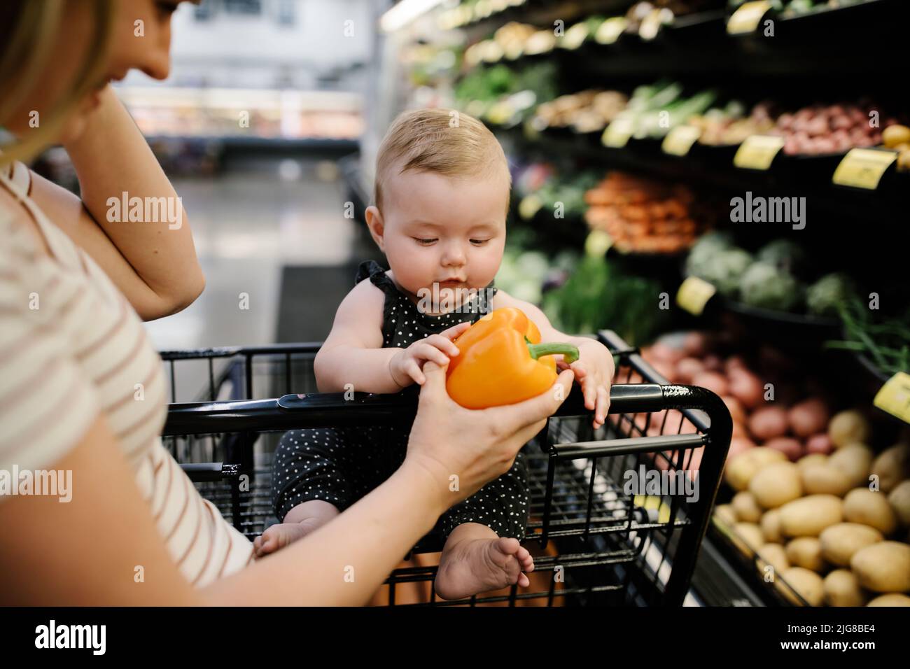 Cute curious hi-res stock photography and images - Alamy