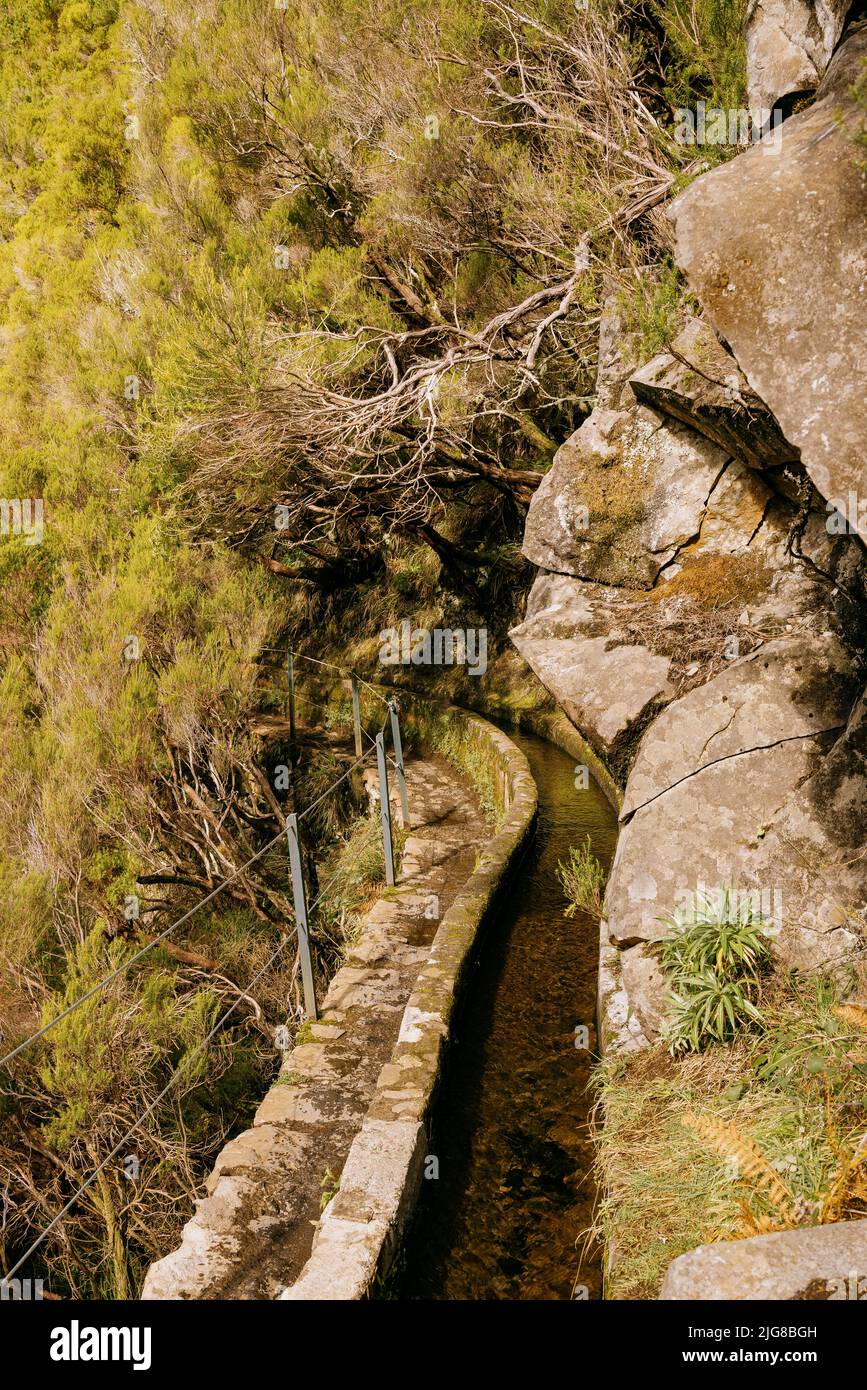 A forest path along Levada waterway at the mountains of Madeira Island ...