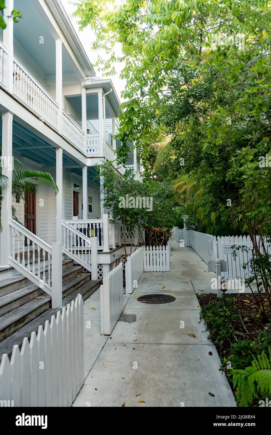 A vertical shot of a narrow path next to residential buildings with a ...