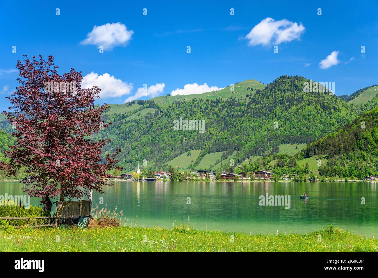 Walchsee with view of village hi-res stock photography and images - Alamy