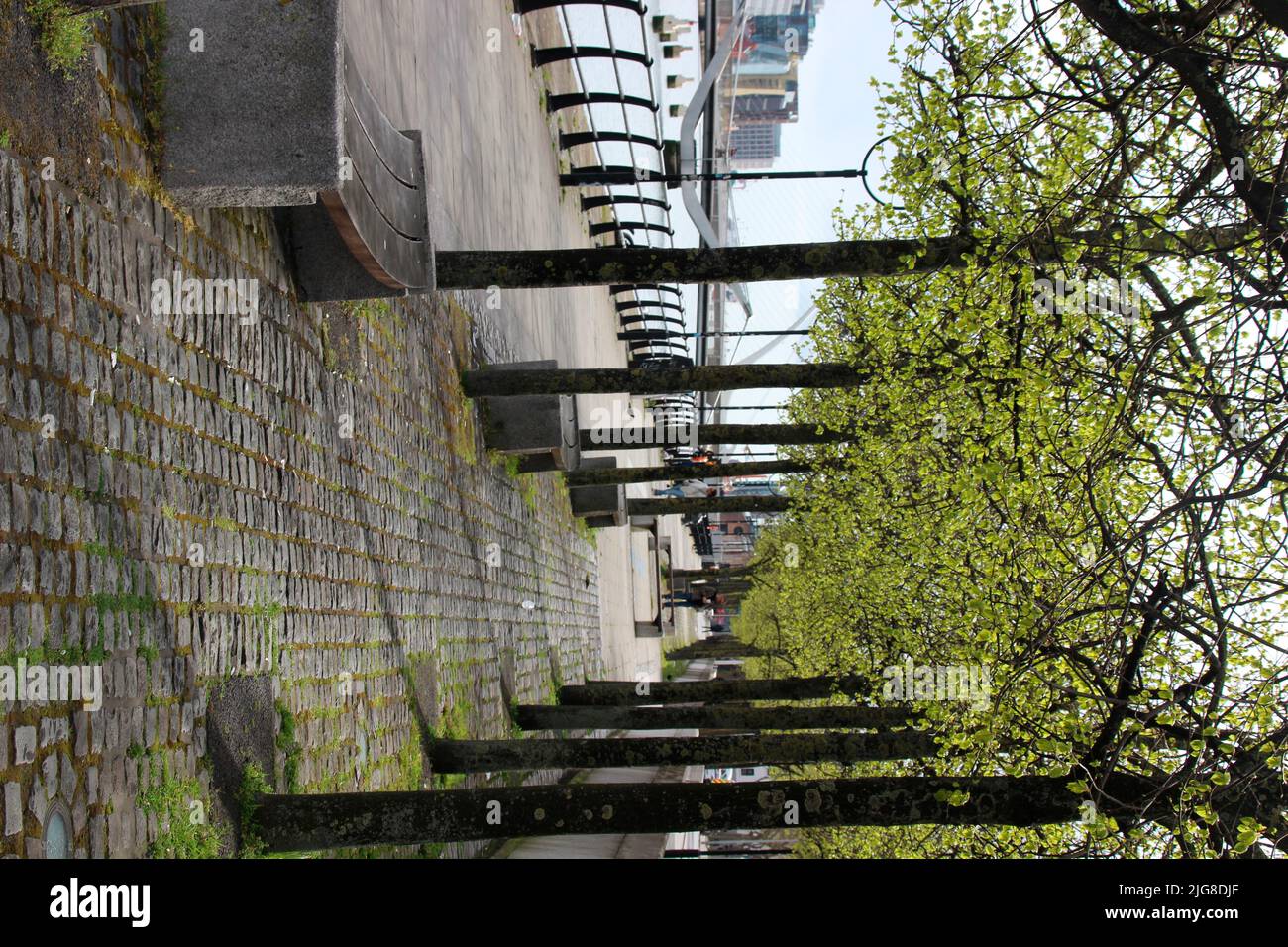 Ireland, Dublin, city view, avenue, trees, cobblestones, river Liffey ...