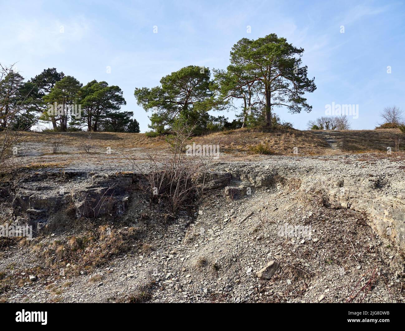 Fully dry grassland hi-res stock photography and images - Alamy
