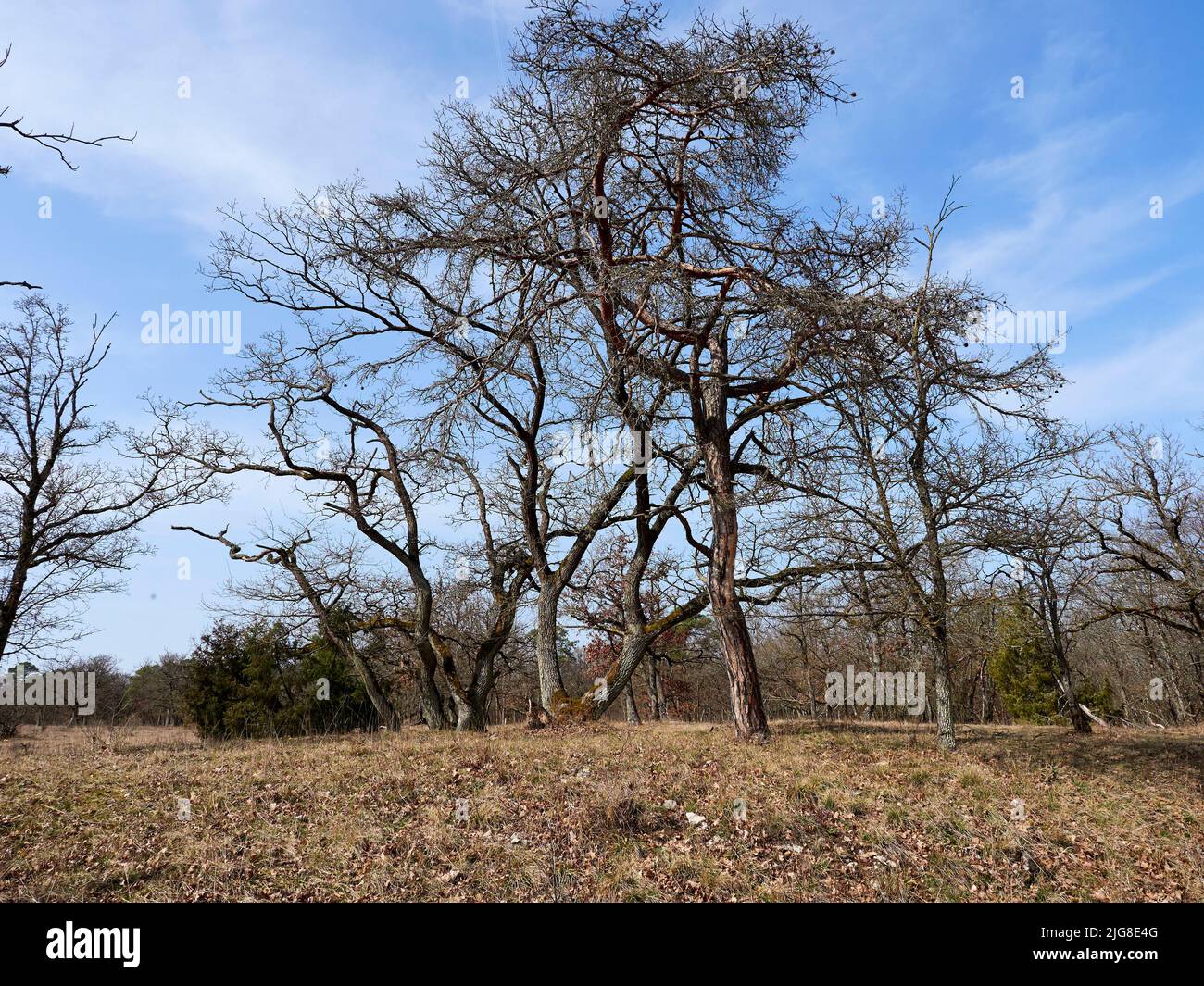 Landscape in the Rammersberg nature reserve near Karlstadt, Main ...
