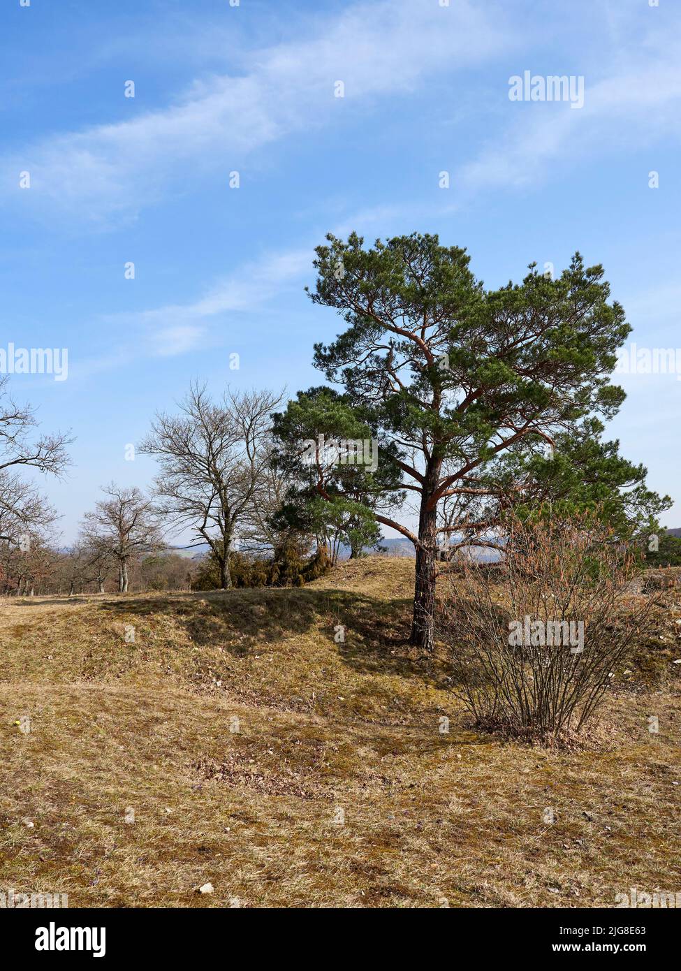 Nature reserve rammersberg hi-res stock photography and images - Alamy