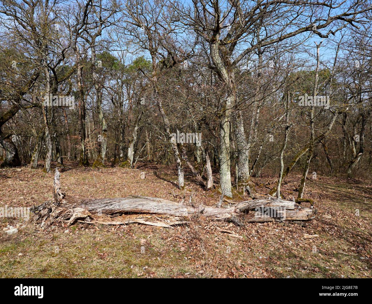 Landscape in the Rammersberg nature reserve near Karlstadt, Main ...