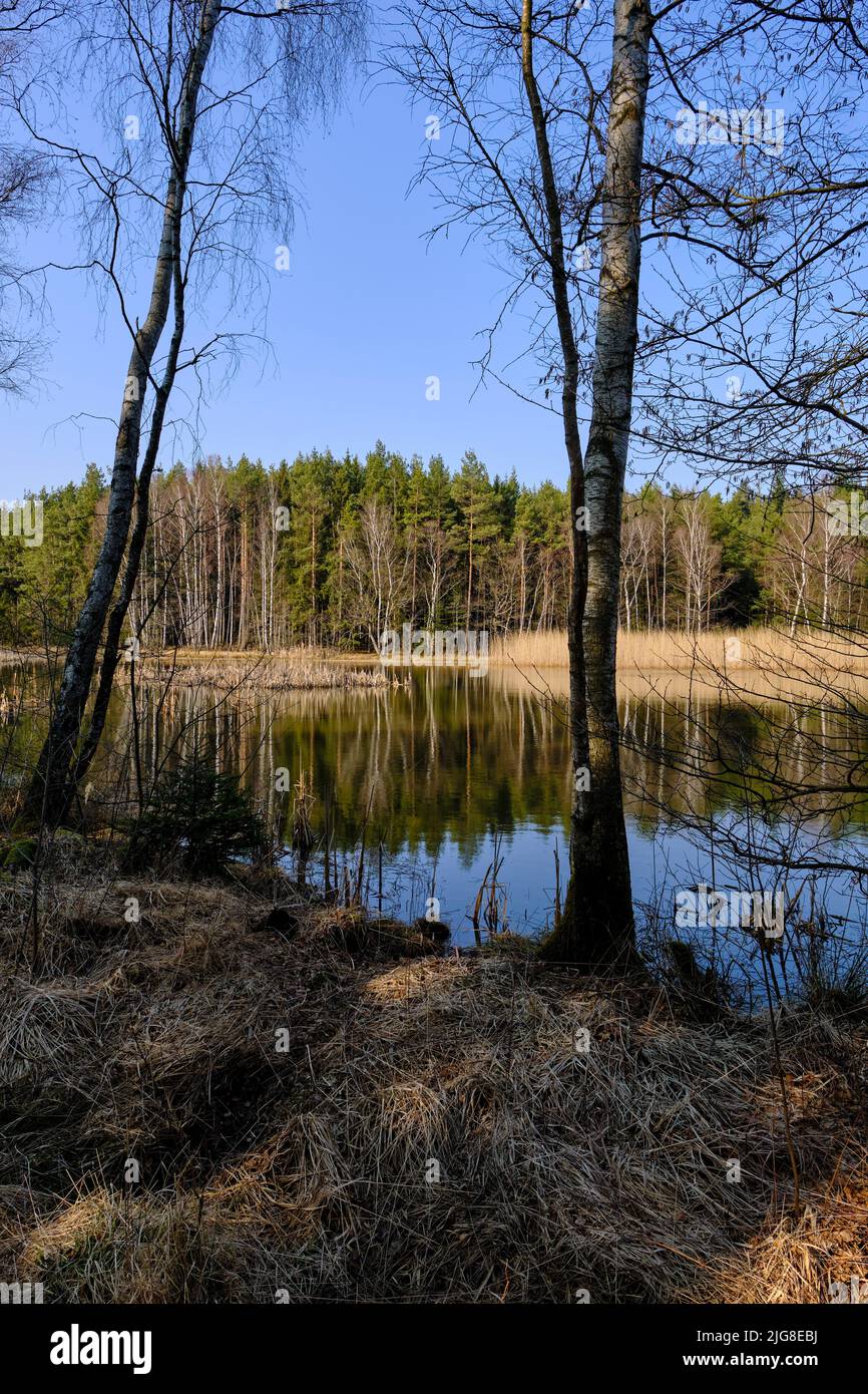 Lake Baunach in the Baunach Valley of the Sulzfeld Forest in the ...