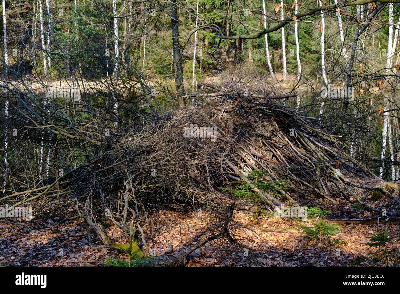 Baunach castle hi-res stock photography and images - Alamy