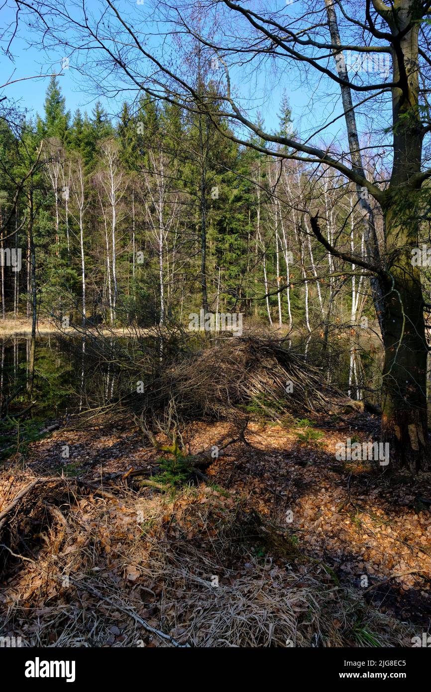 Baunach castle hi-res stock photography and images - Alamy