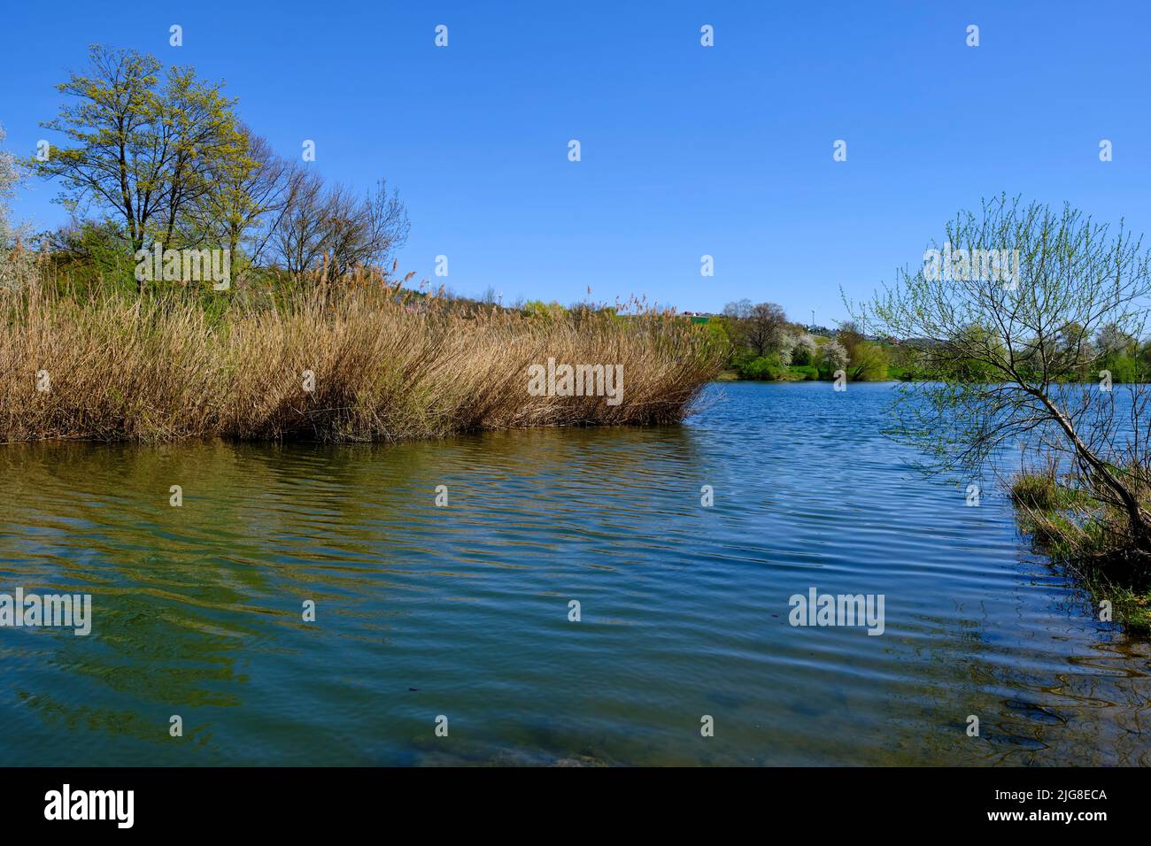 Landscape in schonungen bay near schonungen hi-res stock photography ...