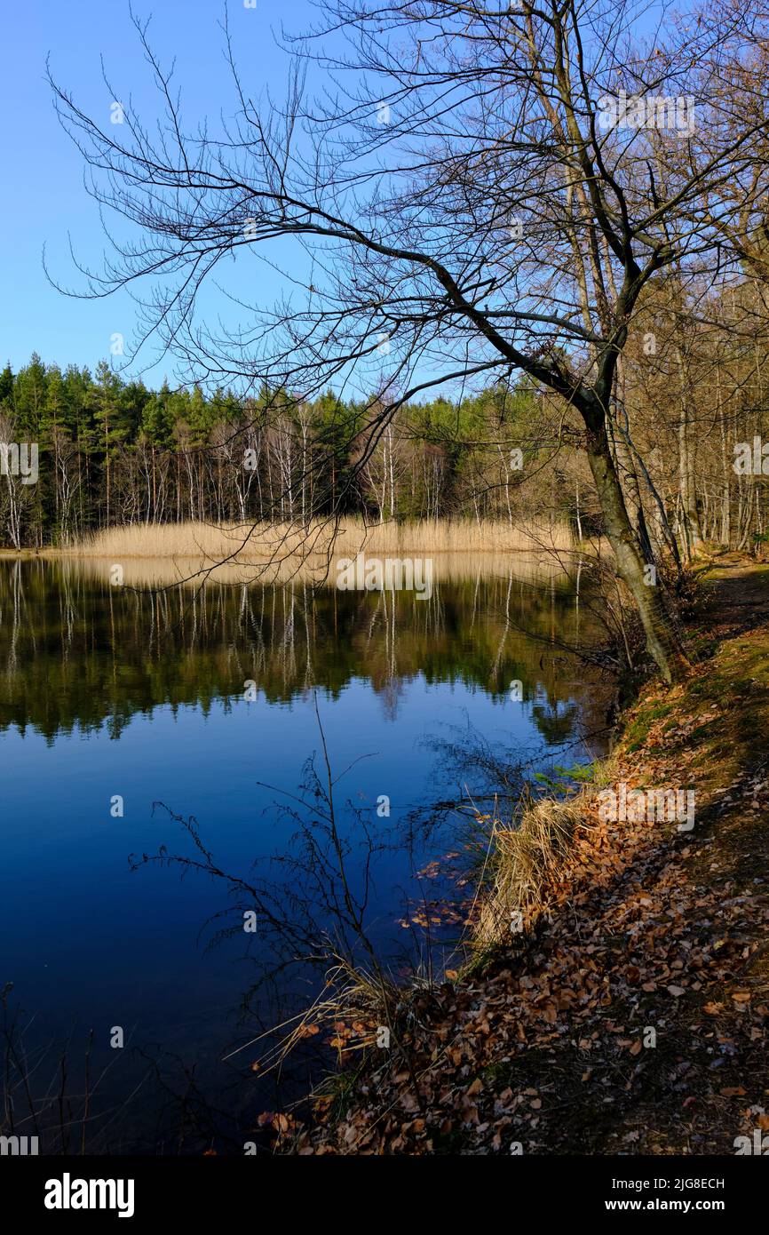 Baunach river hi-res stock photography and images - Alamy