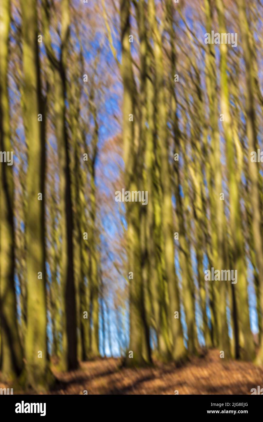 Blurred out of focus forest due to motion blur, background image Stock ...