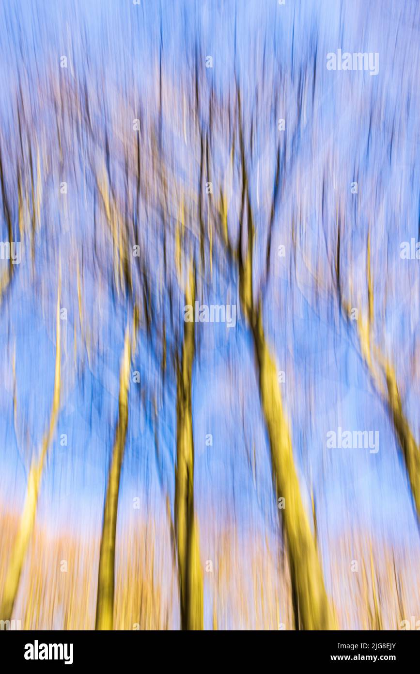 Blurred out of focus forest due to motion blur, background image Stock ...