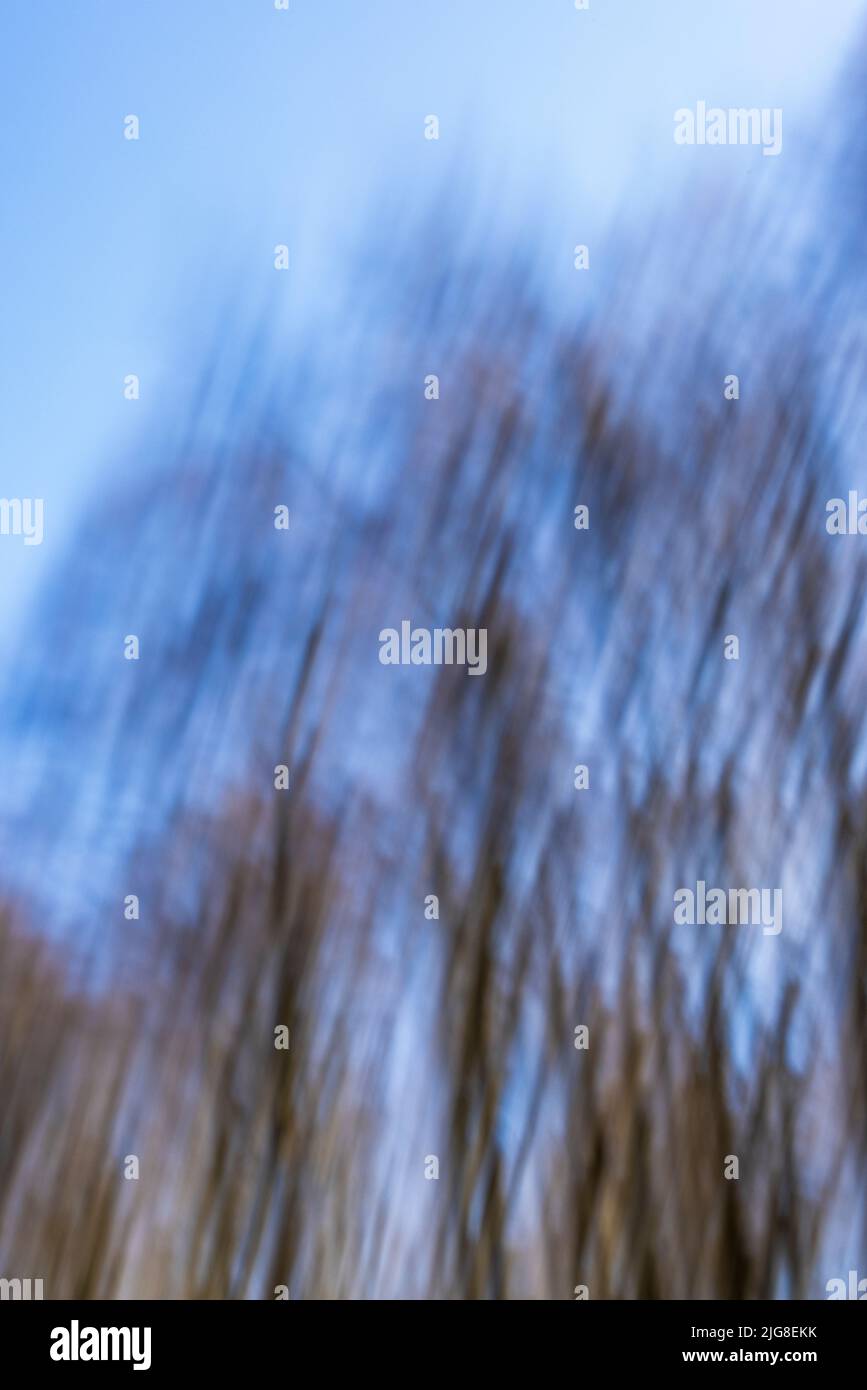 Blurred out of focus forest due to motion blur, background image Stock ...