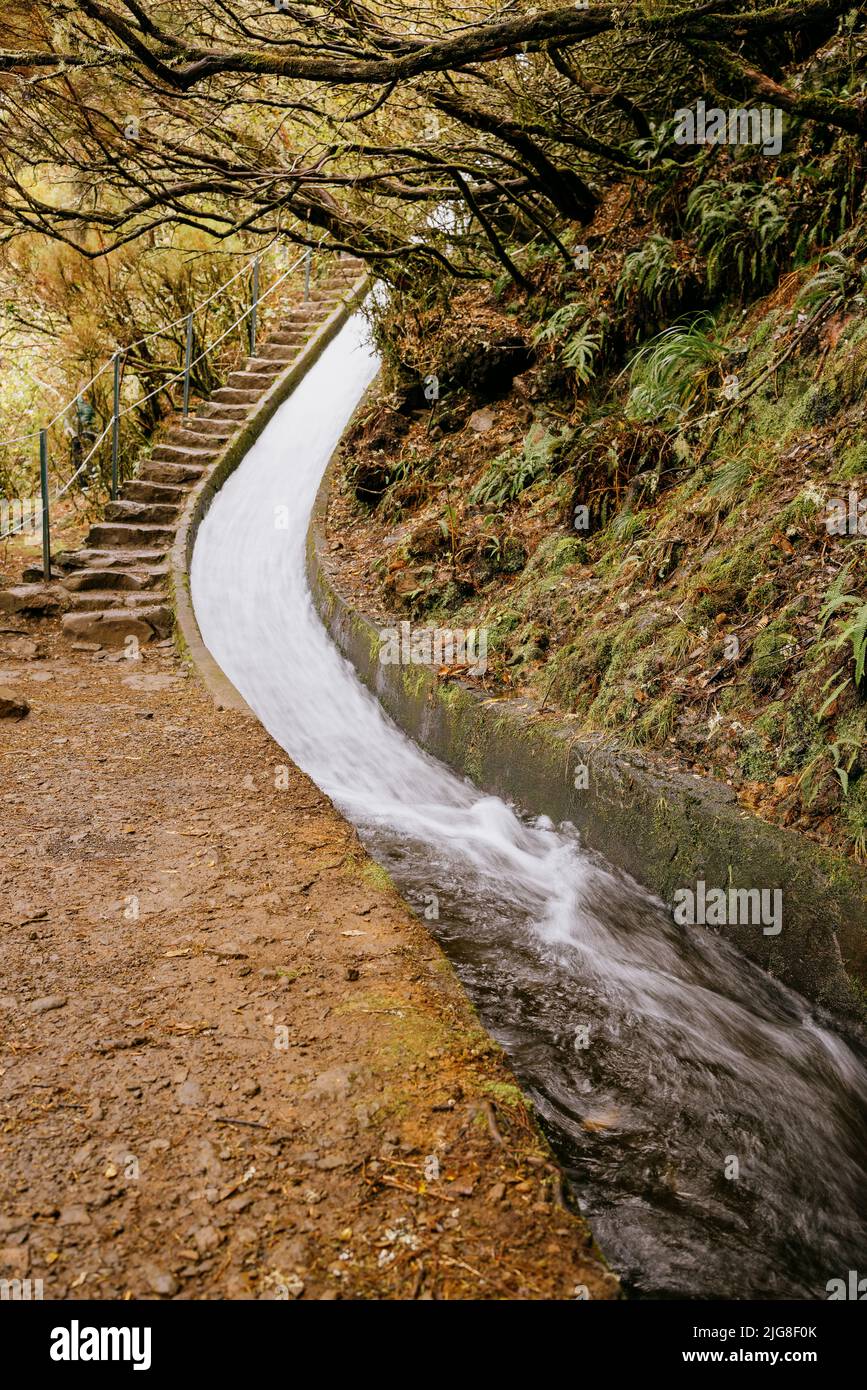 A vertical shot of a flowing straight river in a forest with stairs in ...