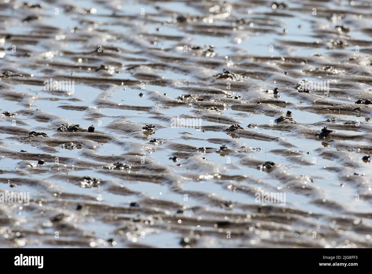 Mold structure hi-res stock photography and images - Alamy