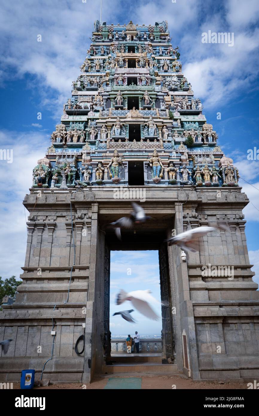 A vertical shot of birds flying in front of Chidambaram temple's gate ...