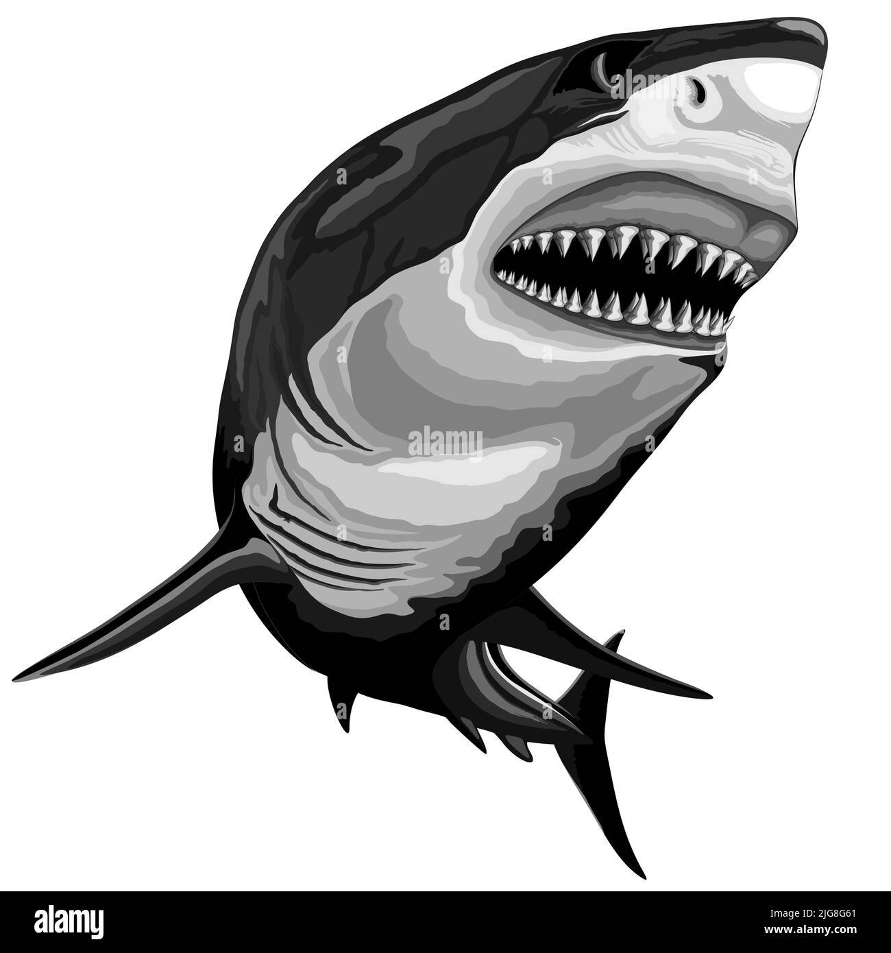 Great White Shark Attack Drawings