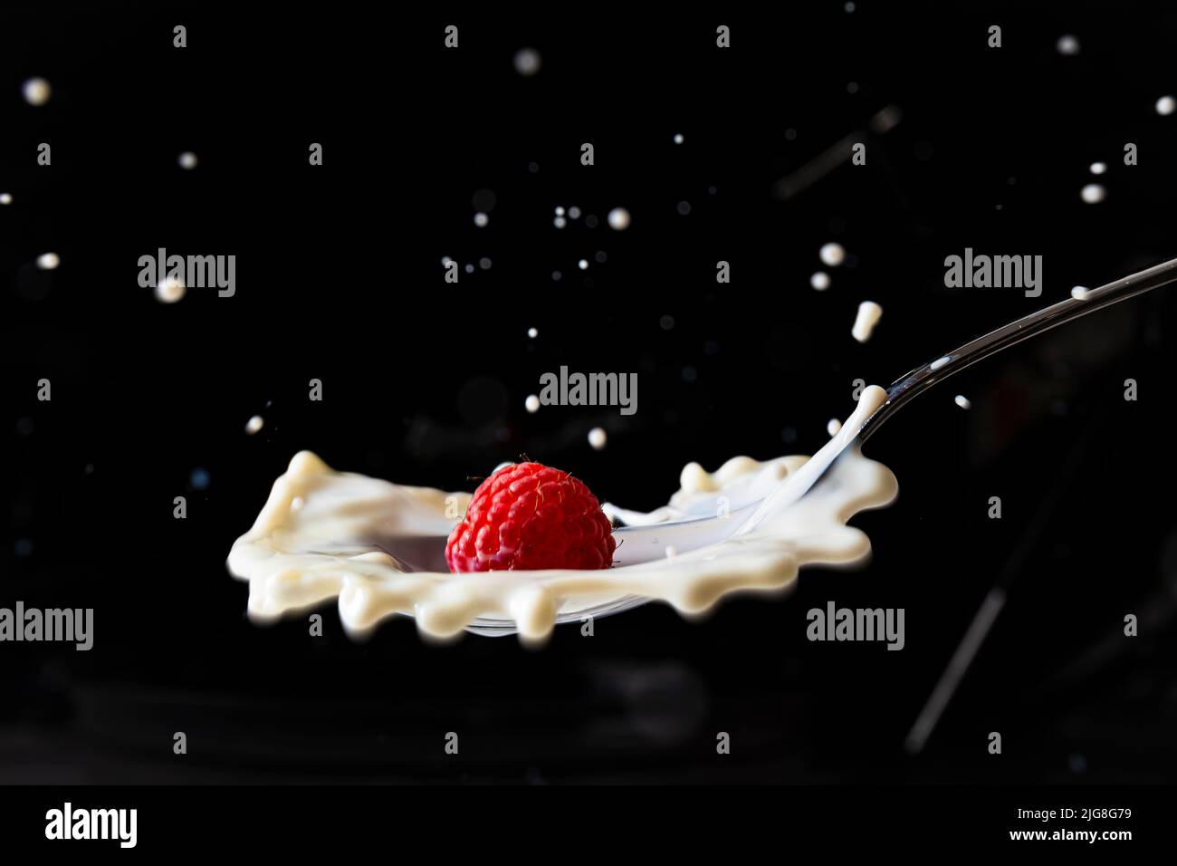 raspberry falls in milk splash Stock Photo - Alamy