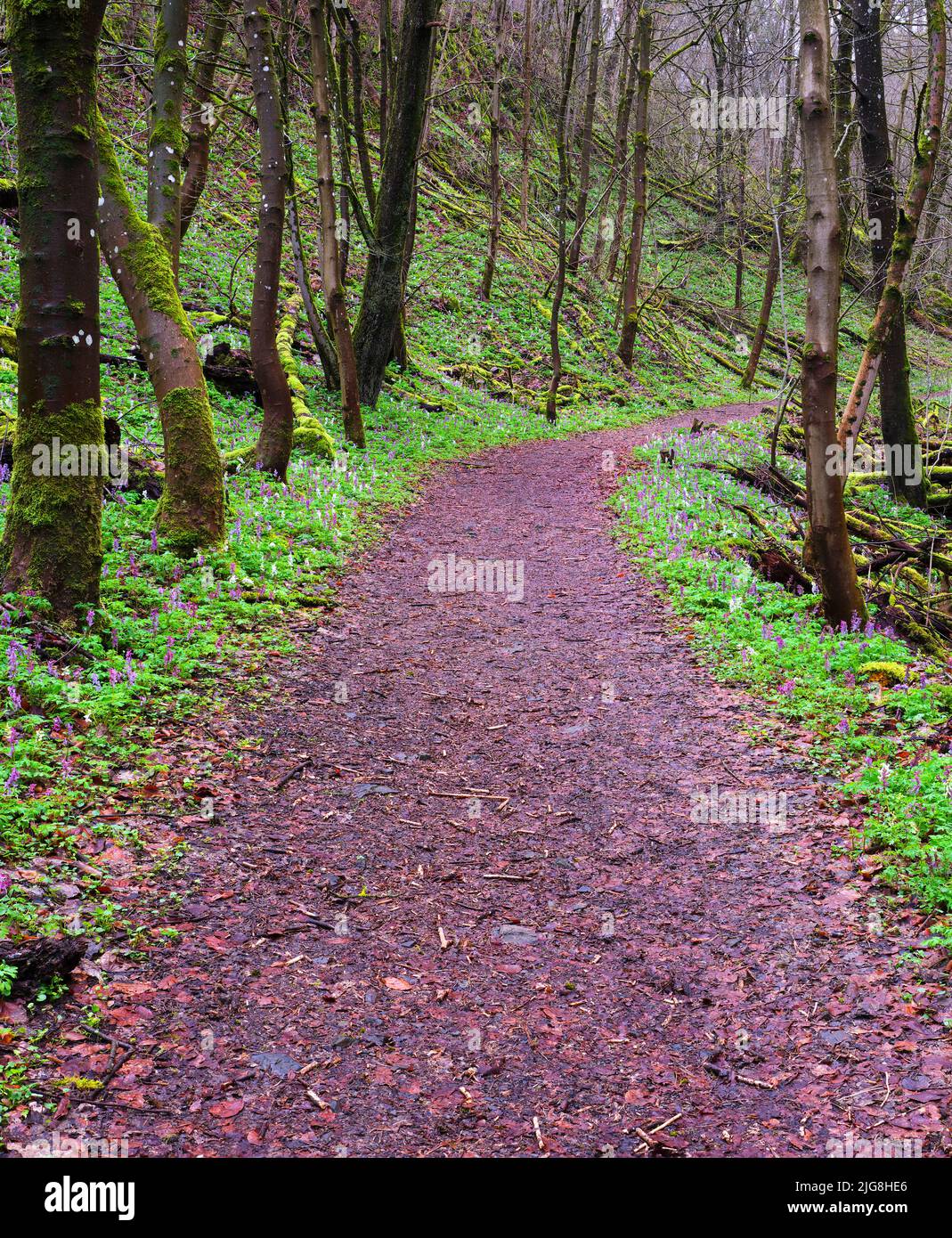 Europe, Germany, Hesse, Westerwald, Lahn-Dill-Bergland, Geopark ...