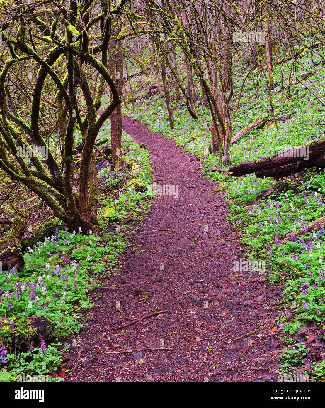 Europe, Germany, Hesse, Westerwald, Lahn-Dill-Bergland, Geopark ...