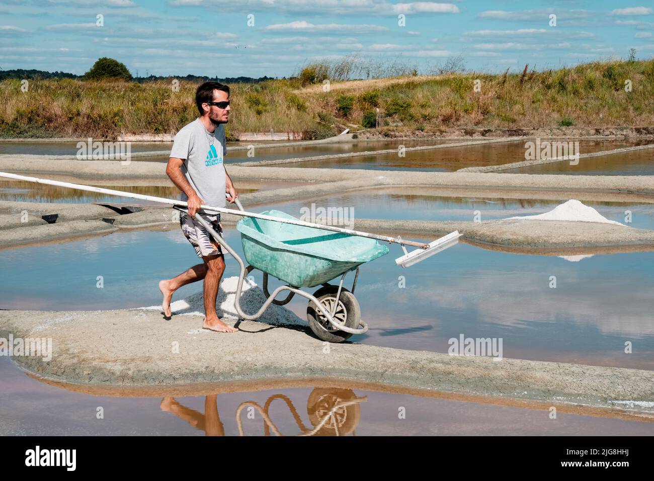 A young man harvesting salt in the swamp in summer Stock Photo - Alamy