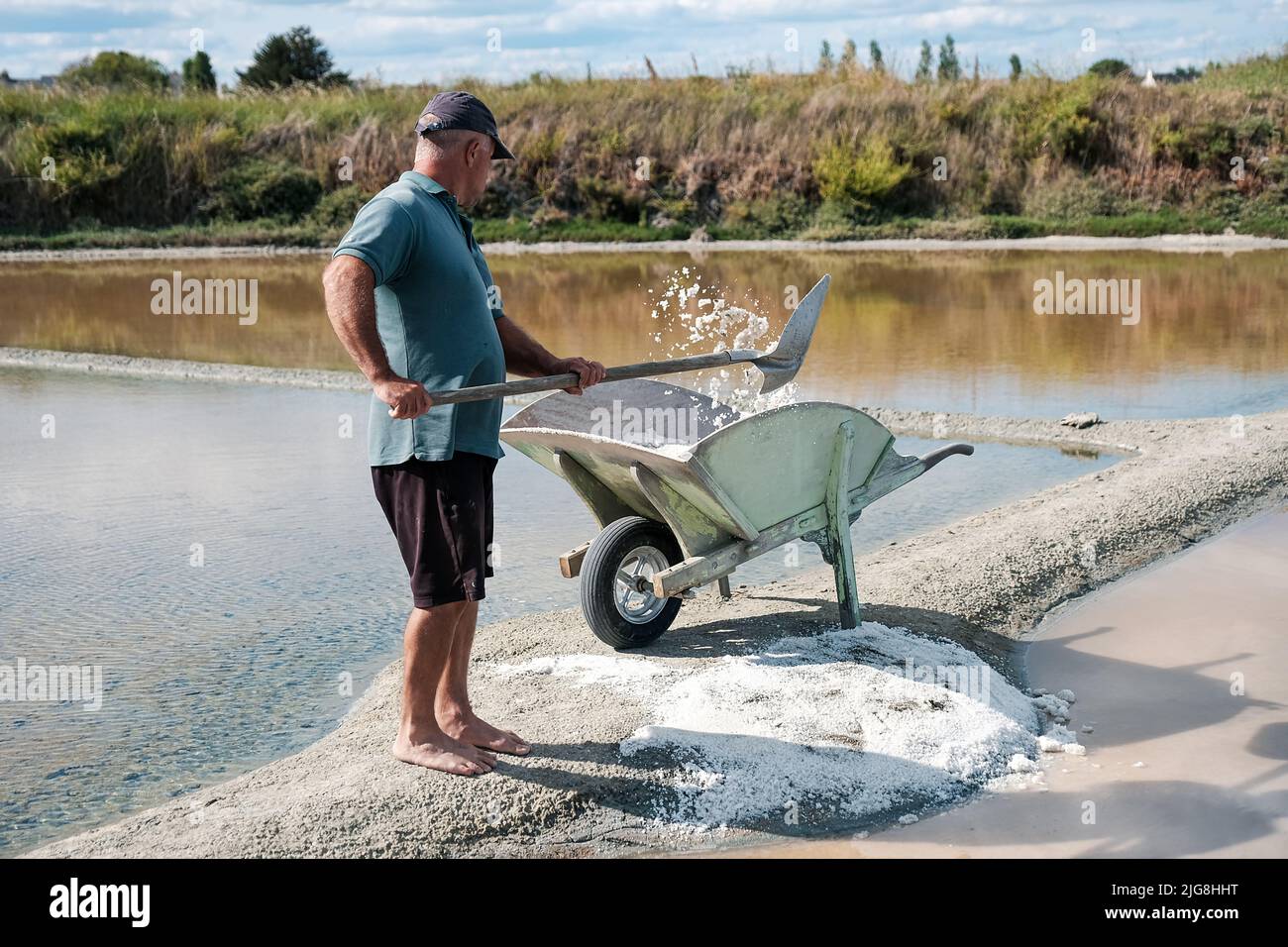 A young man harvesting salt in the swamp in Guerande, France Stock ...
