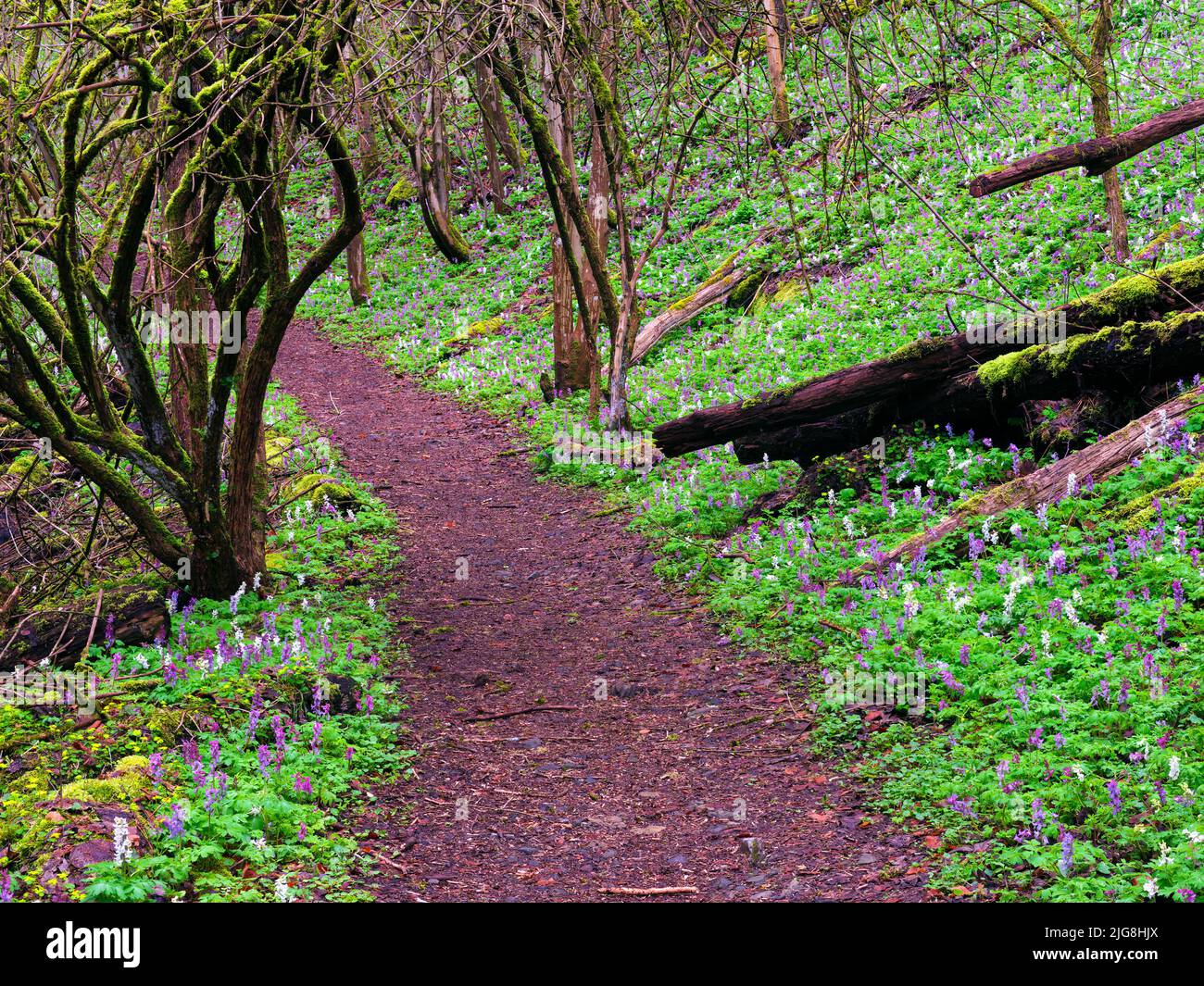Europe, Germany, Hesse, Westerwald, Lahn-Dill-Bergland, Geopark ...