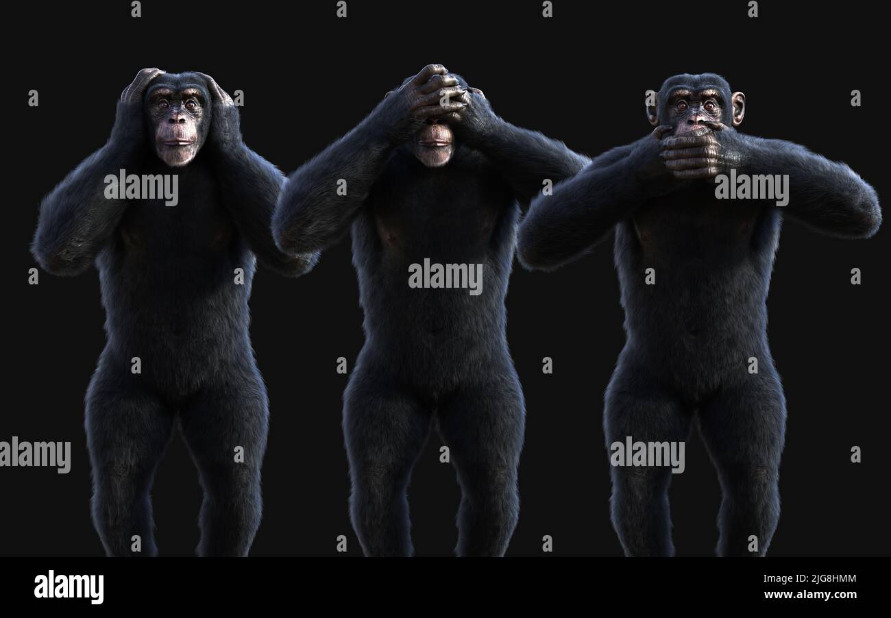 Three monkeys hear speak no hi-res stock photography and images - Alamy