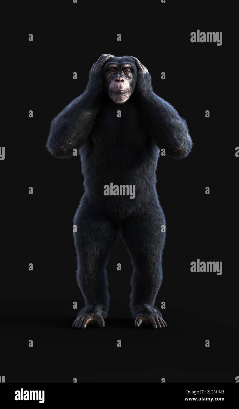 3d Illustration of three Chimpanzee monkeys, standing and closing the ...