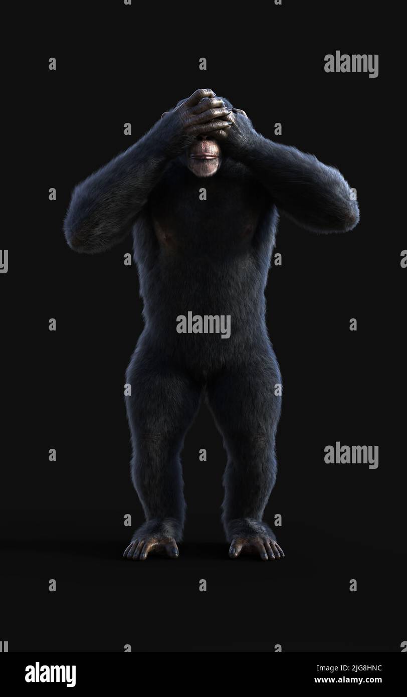 3d Illustration of three Chimpanzee monkeys, standing and closing the ...