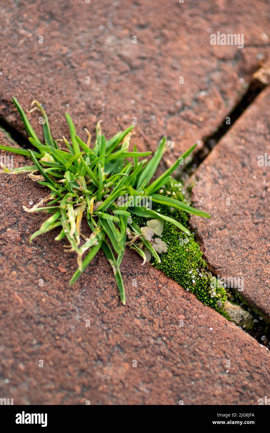 Kingsville missouri hi-res stock photography and images - Alamy