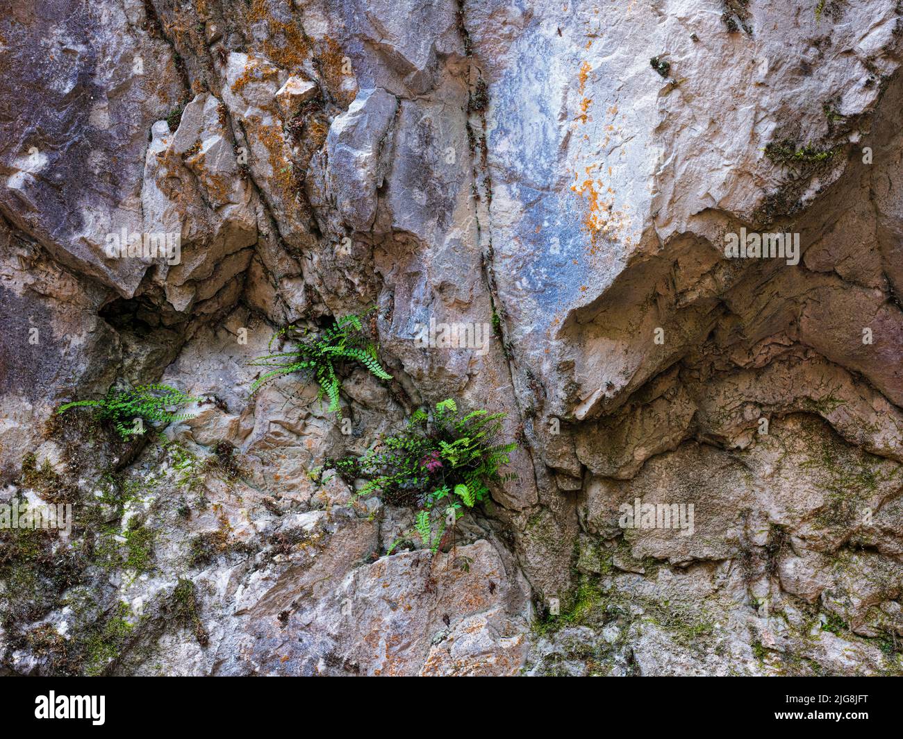 Europe, Germany, Hesse, Westerwald, Lahn-Dill-Bergland, Geopark ...