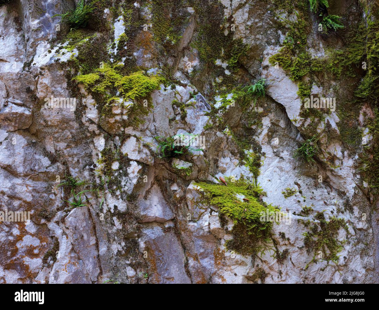 Europe, Germany, Hesse, Westerwald, Lahn-Dill-Bergland, Geopark ...