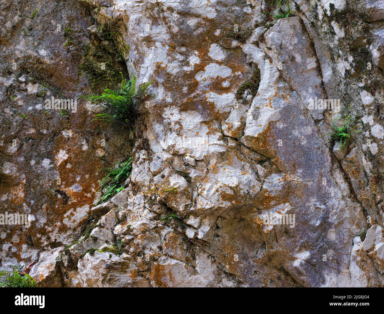 Europe, Germany, Hesse, Westerwald, Lahn-Dill-Bergland, Geopark ...