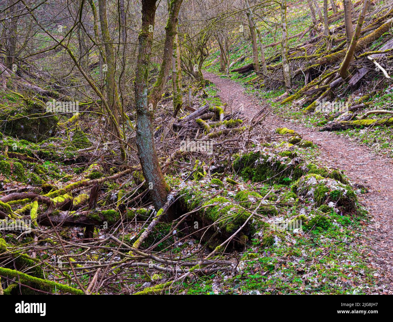 Europe, Germany, Hesse, Westerwald, Lahn-Dill-Bergland, Geopark ...