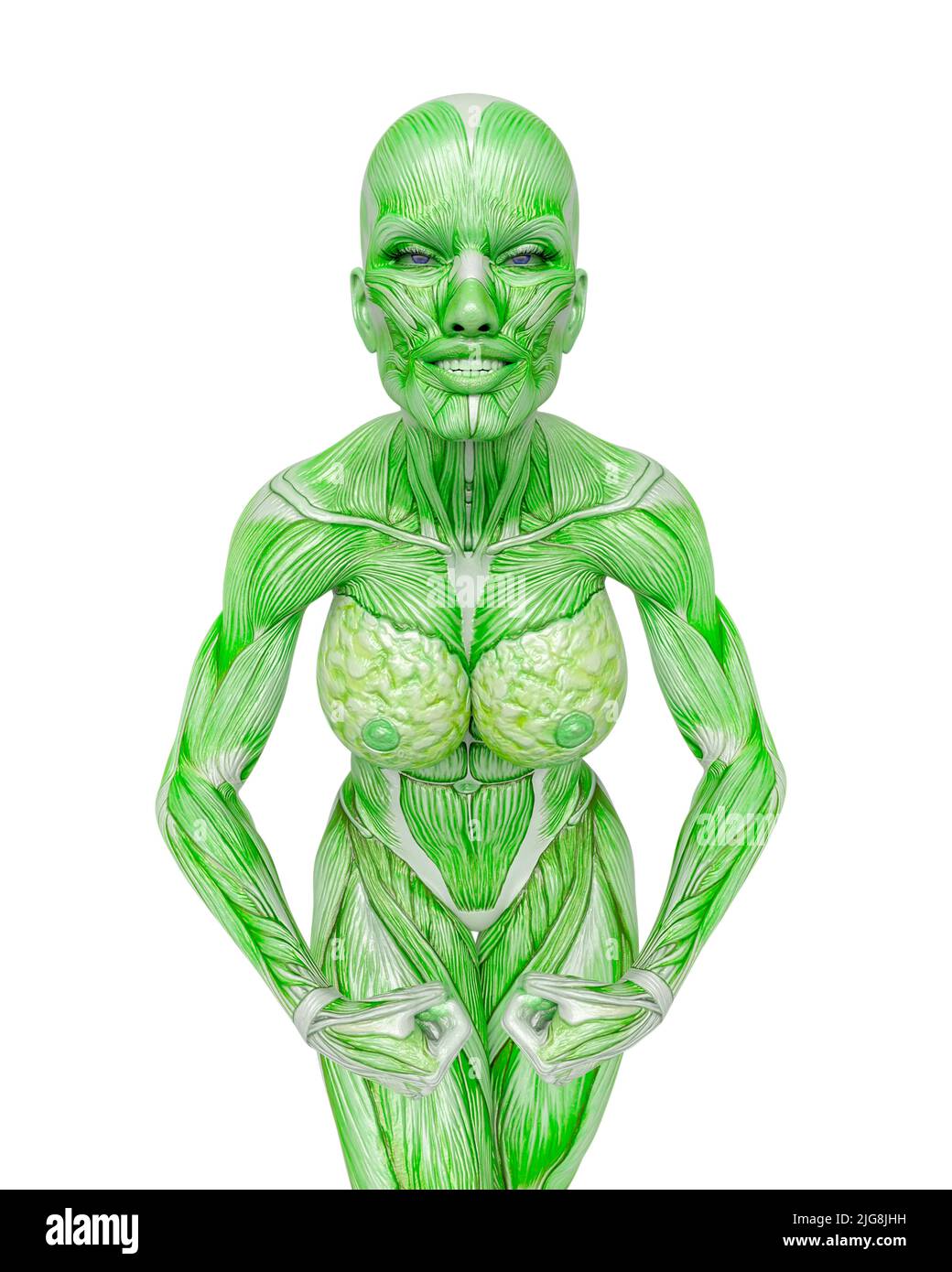 female bodybuilding in muscle maps is doing a bodybuilder pose six in white background close up ...