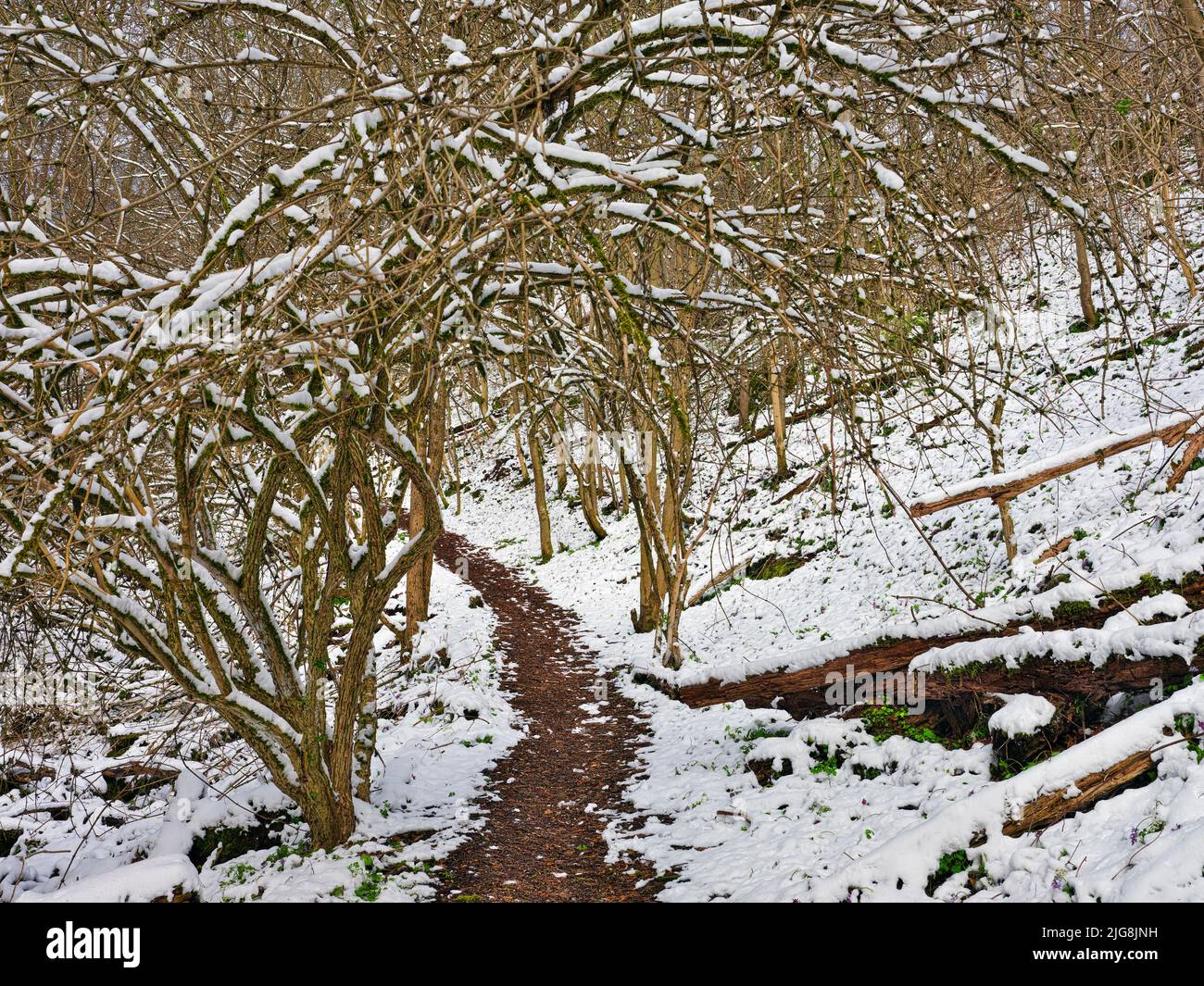 Europe, Germany, Hesse, Westerwald, Lahn-Dill-Bergland, Geopark ...