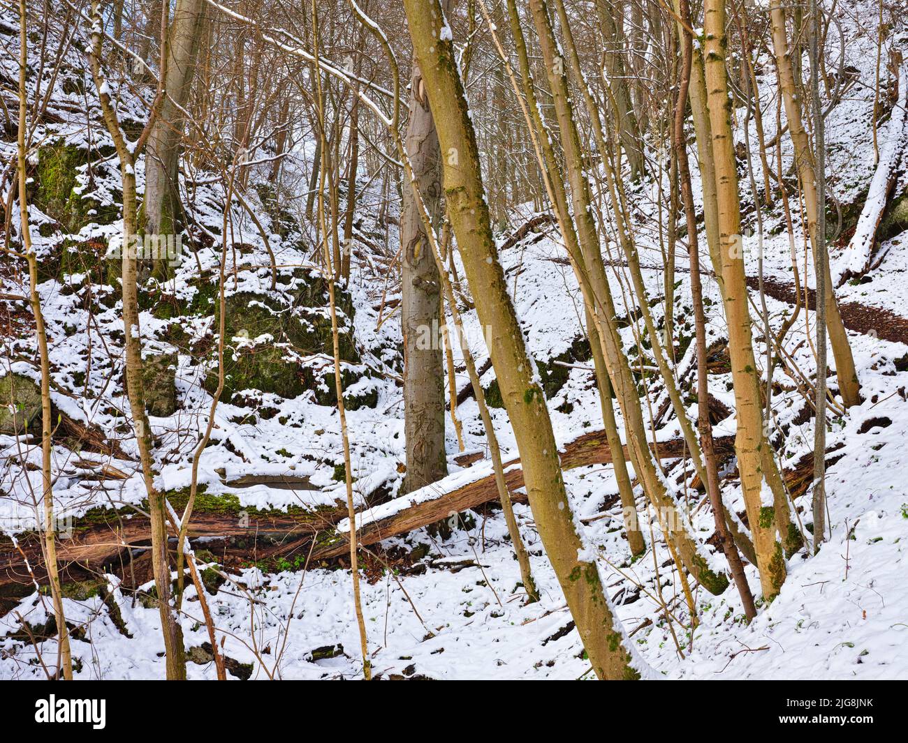 Europe, Germany, Hesse, Westerwald, Lahn-Dill-Bergland, Geopark ...